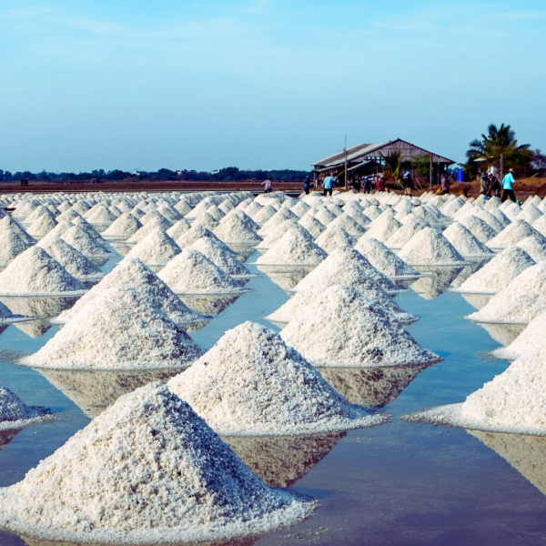 Does Celtic sea salt really provide meaningful nutritional benefit ...